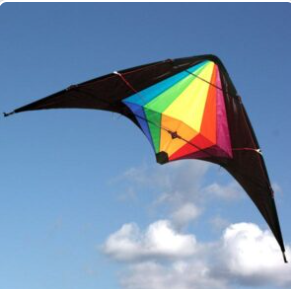 Windspeed Black Widow Kite – The Spinning Top Toy Store
